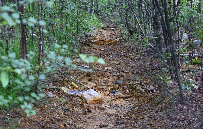 Dry Drainage Ditch Filled with Debris in the Forest Stock Image - Image ...