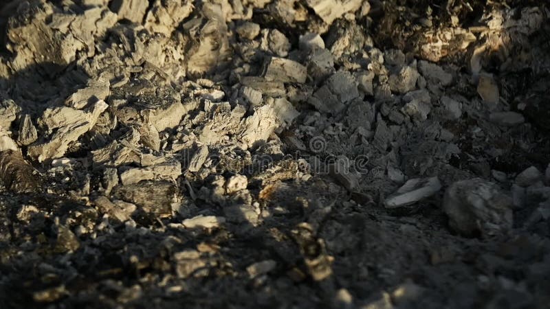 Dry and Dusty Background, Burnt Coal Ash Stock Footage - Video of ...