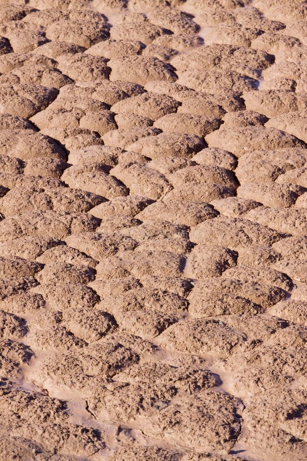 Dry earth stock image. Image of drought, issue, earth - 14322497