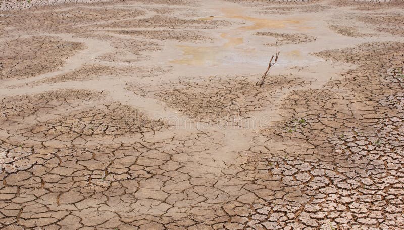Dry landscape earth stock image. Image of heat, field - 218460179