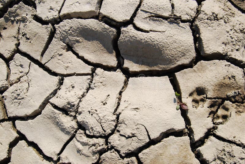 Dry earth stock photo. Image of land, texture, desert - 32229378