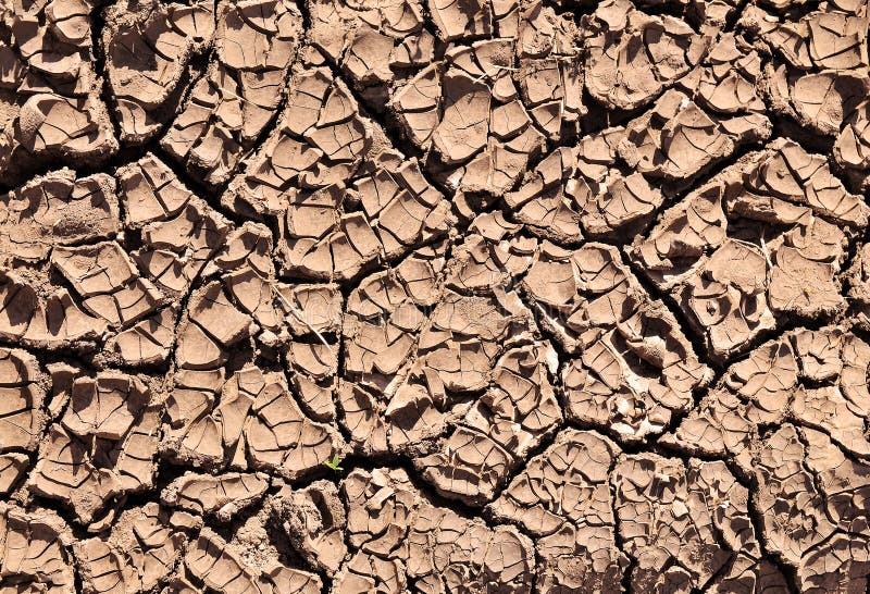 Dry Earth Picture. Image: 6587551