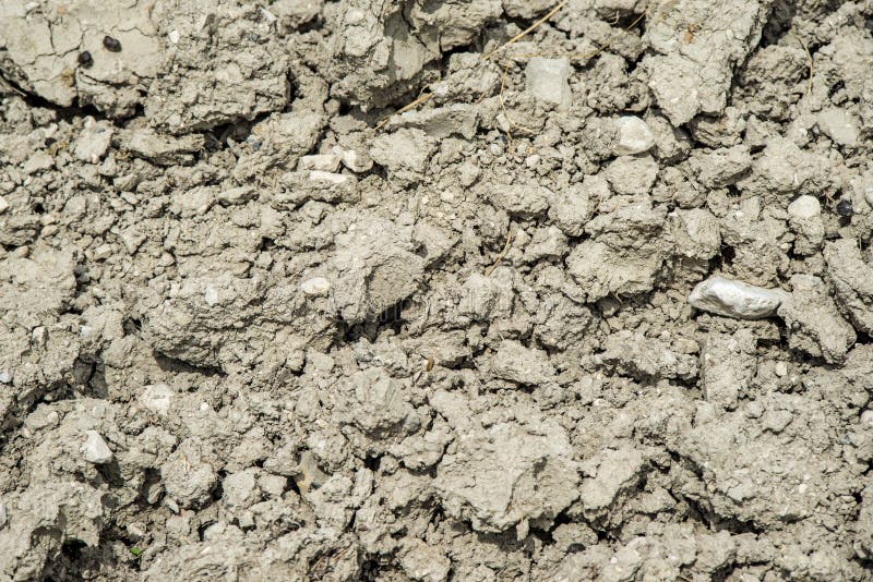 Dry earth stock photo. Image of earth, drought, crack - 41049354