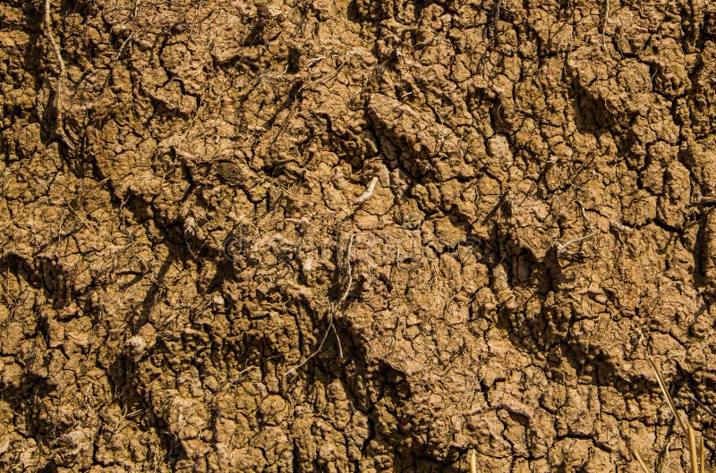 Dry earth ground texture stock image. Image of drought - 30629803