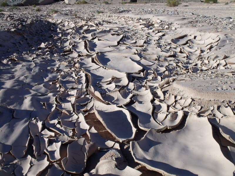 Dry earth stock photo. Image of winter, save, tree, water - 62771750