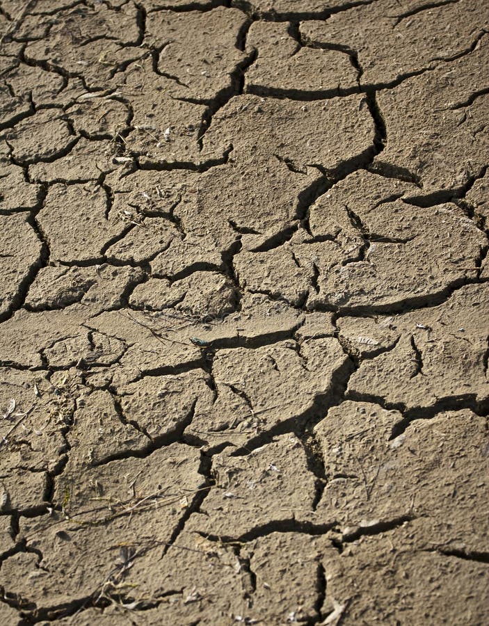 Dry earth texture stock photo. Image of land, disaster - 22501302
