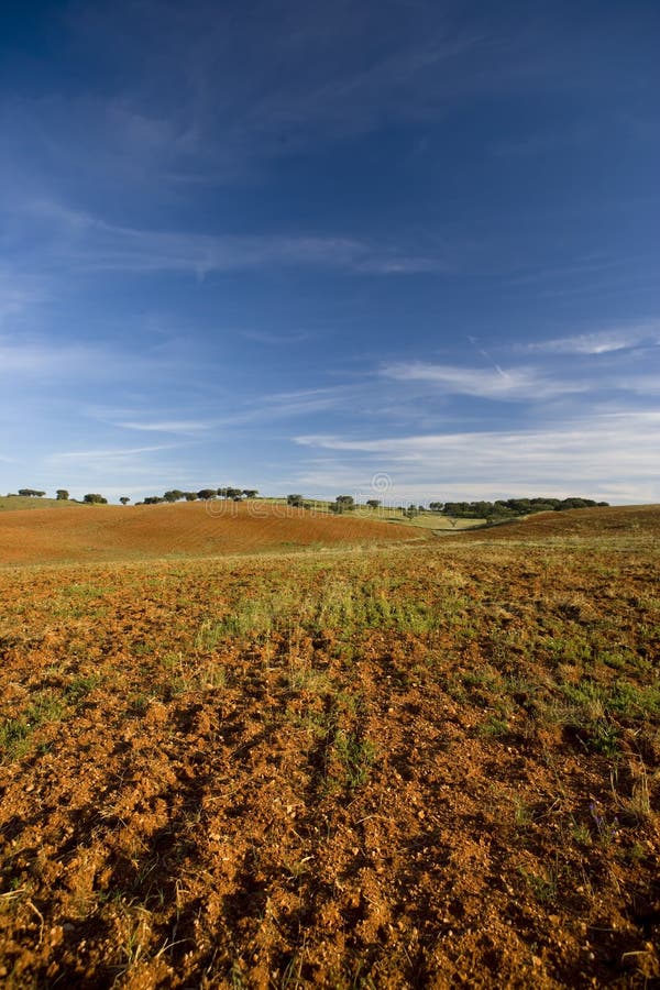 Dry and Empty Rural Field in a Hot Summer Day Stock Photo - Image of ...