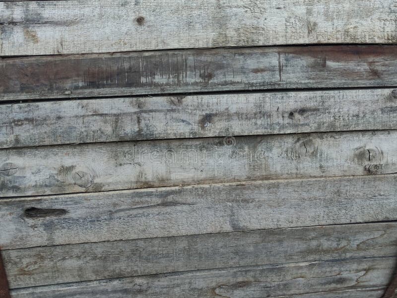 Dry Fallen Wood Texture is Suitable for Illustration Stock Photo ...