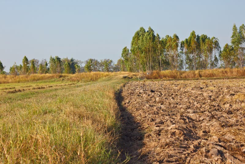 Dry farm stock image. Image of nature, horizon, landscape - 23818759