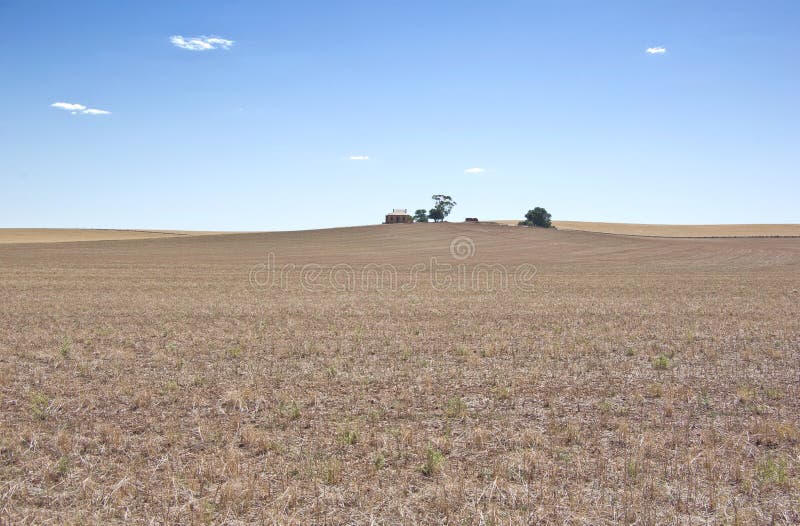 Dry Farm during the Drought Stock Image - Image of rural, country: 4246703