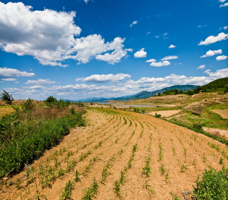 Dry farm field stock photo. Image of fresh, country, meadow - 38184132