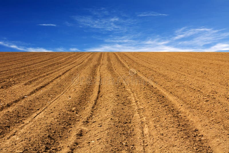 Dry field stock image. Image of beam, nature, dirt, clouds - 14252379