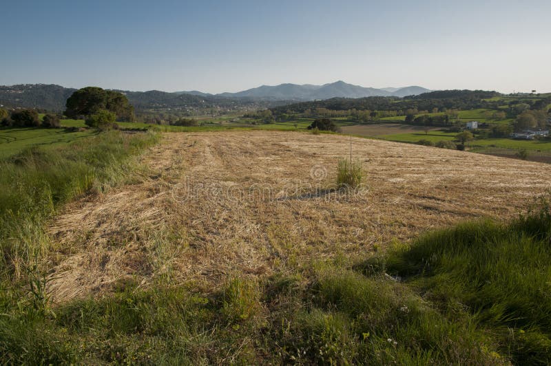 Dry field stock image. Image of agriculture, horizon - 31780597