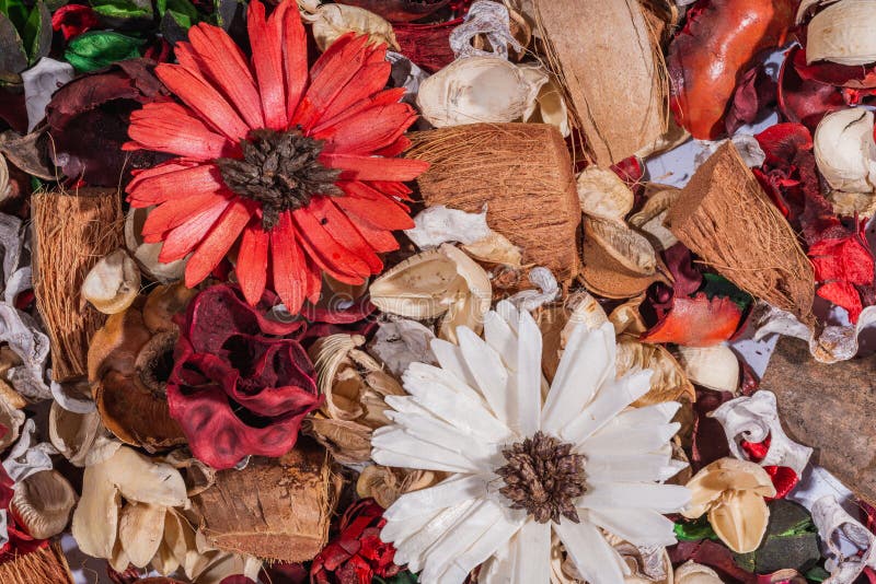 Dry Field Flowers. Top View- Flat Still Life Stock Photo - Image of ...