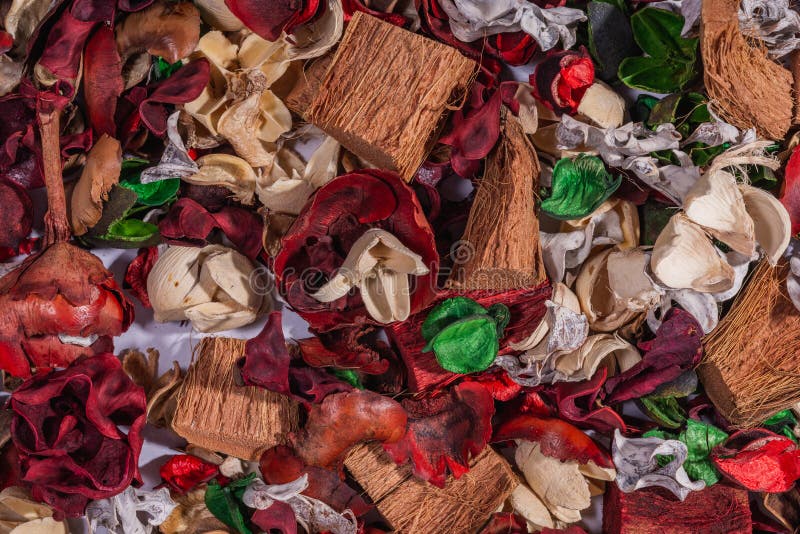 Dry Field Flowers. Top View- Flat Still Life Stock Image - Image of ...