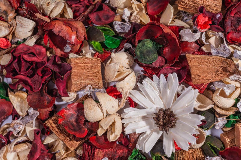 Dry Field Flowers. Top View- Flat Still Life Stock Photo - Image of ...