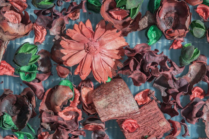 Dry Field Flowers. Top View- Flat Still Life Stock Image - Image of ...