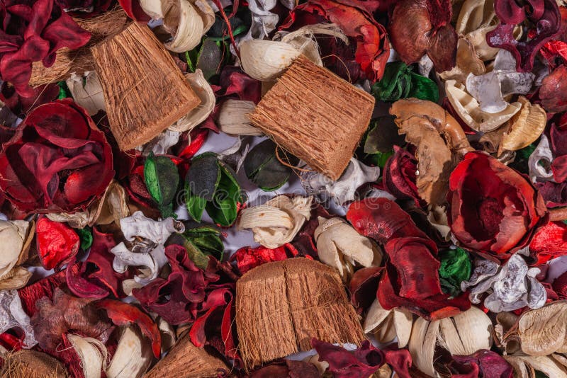 Dry Field Flowers. Top View- Flat Still Life Stock Image - Image of ...