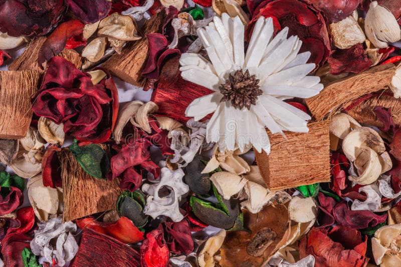 Dry Field Flowers. Top View- Flat Still Life Stock Image - Image of ...