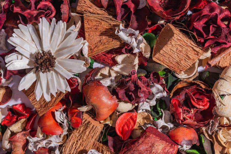 Dry Field Flowers. Top View- Flat Still Life Stock Image - Image of ...