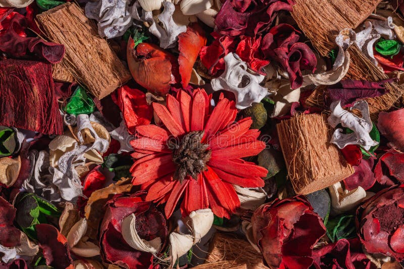 Dry Field Flowers. Top View- Flat Still Life Stock Photo - Image of ...