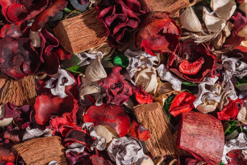 Dry Field Flowers. Top View- Flat Still Life Stock Photo - Image of ...