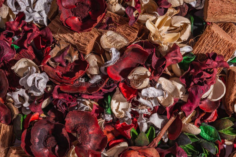 Dry Field Flowers. Top View- Flat Still Life Stock Image - Image of ...