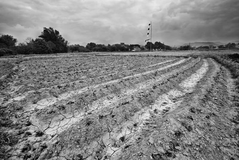 Dry field land stock photo. Image of dried, dark, farm - 51997574