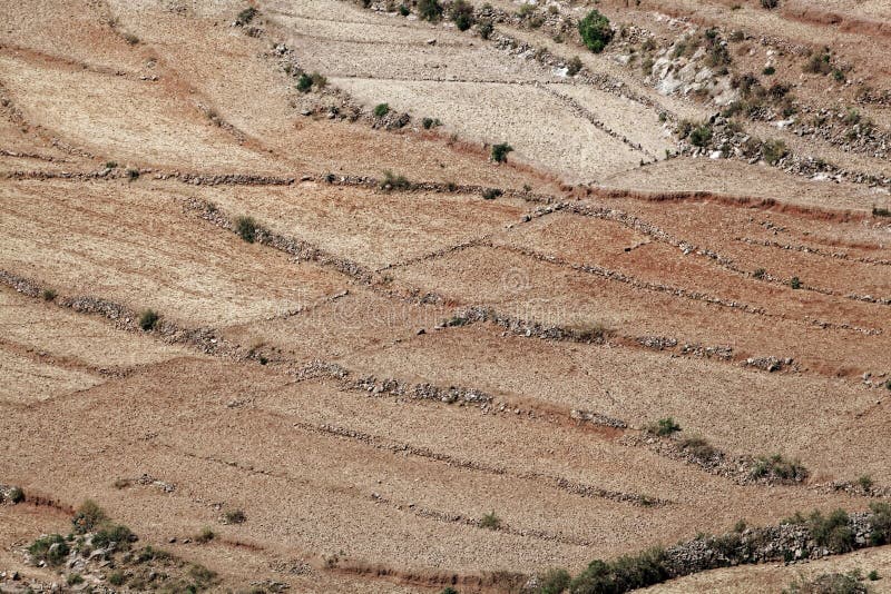 Dry fields in East Africa stock photo. Image of environment - 113078118