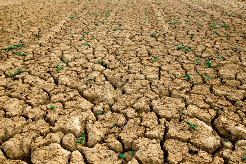 The dry fields stock photo. Image of farm, landscapes - 55059412