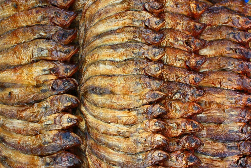 Dry Fish stock image. Image of small, fauna, creature - 24271105