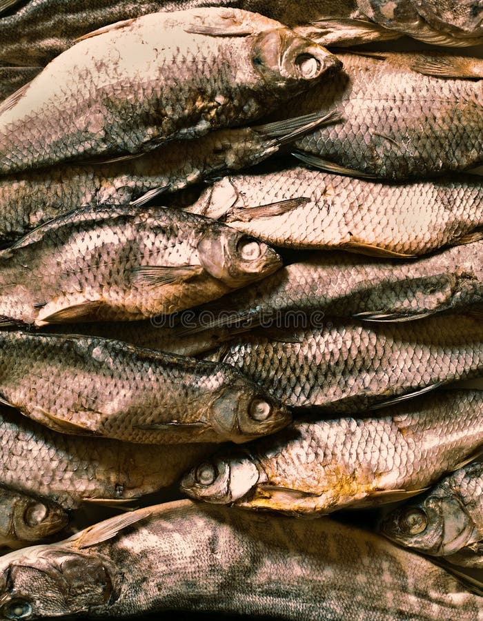 Dry fish stock photo. Image of retail, provisions, fish - 26450458