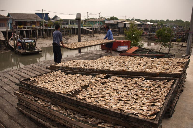 Dry fish editorial image. Image of midday, industry, open - 26537645