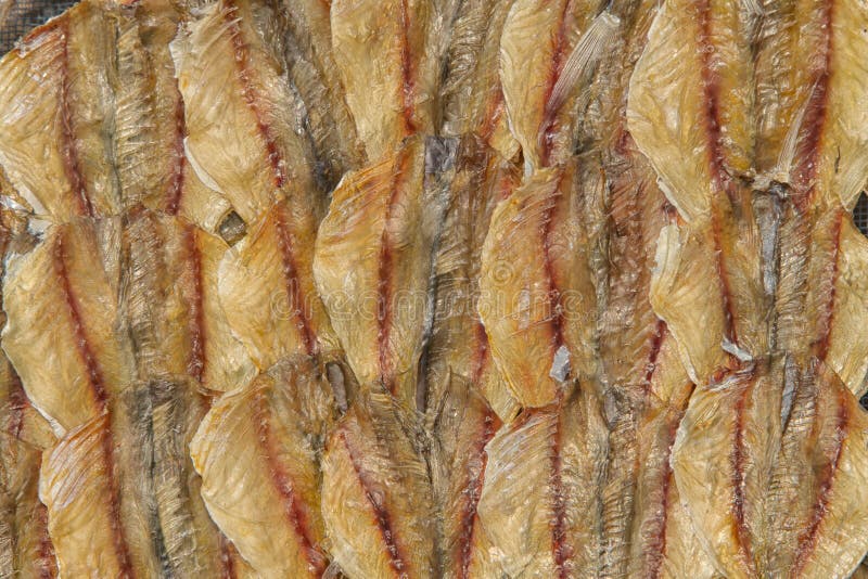 Dry Fish Background and Texture Stock Image - Image of protein, healthy ...