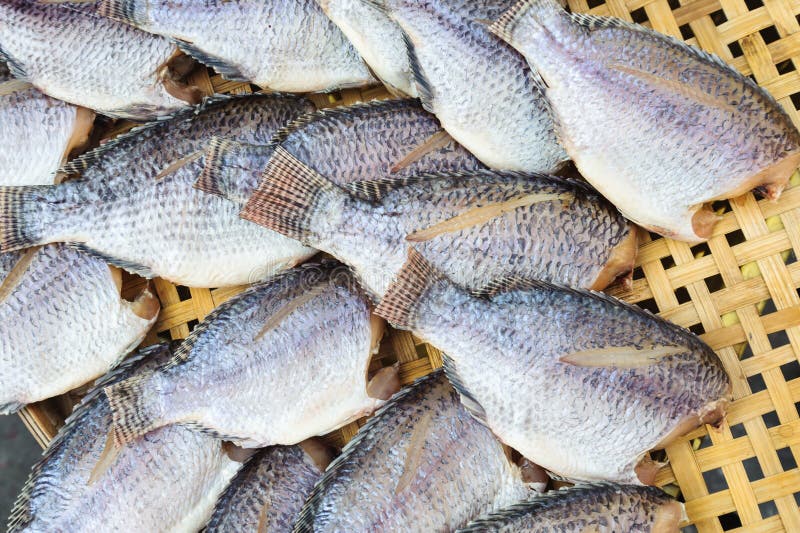 Dry fish on bamboo net stock photo. Image of healthy - 51407840