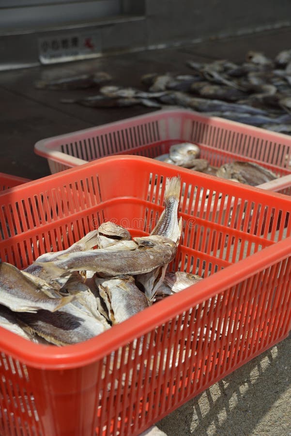 Dry fish in basket stock photo. Image of preserving - 176699514