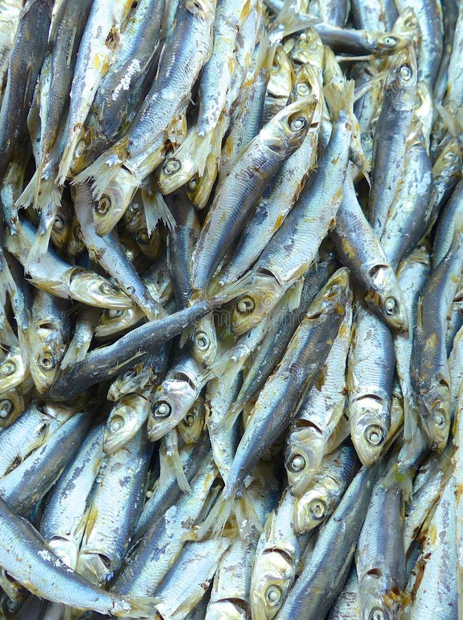 Dry fish closeup stock photo. Image of light, fish, ingredient - 62147004