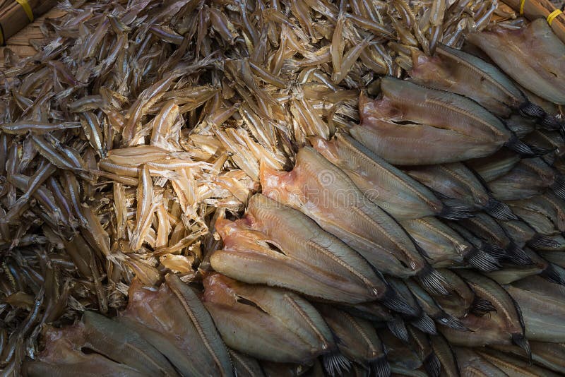 Dry fish stock image. Image of light, brown, fishery - 83360707