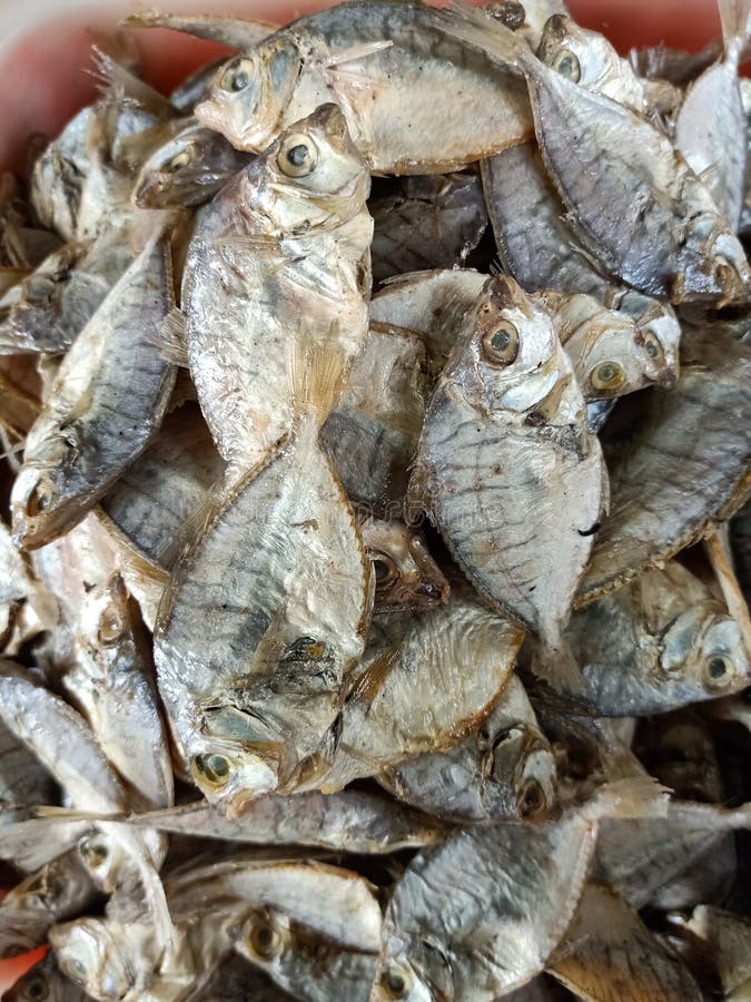 Dry fish stock image. Image of fish, food, cooking, cooked - 157787771