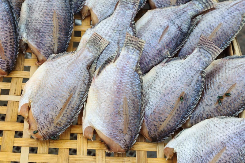 Dry Fish Fly Bamboo Net Stock Photos - Free & Royalty-Free Stock Photos ...