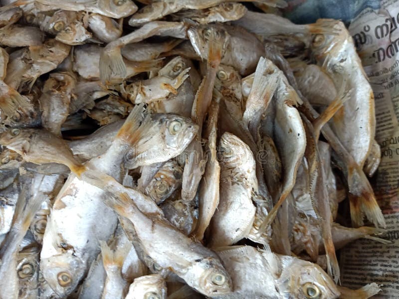Dry fish food stock photo. Image of meal, vegetable - 157787736