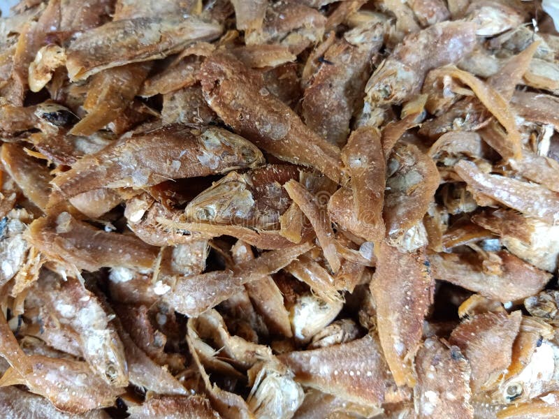 Dry fish food stock image. Image of seafood, wood, invertebrate - 157787737