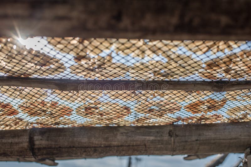 Dry fish 35 stock image. Image of meat, fishs, life, forge - 83556227