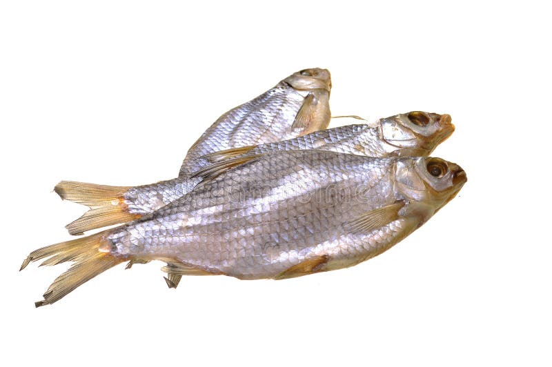Dry Fish Isolated on White Background Stock Image - Image of silver ...