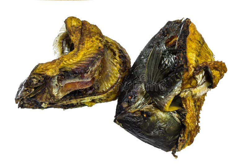 Dry Fish Isolated on White, Pangasius Pangasius Stock Photo - Image of ...