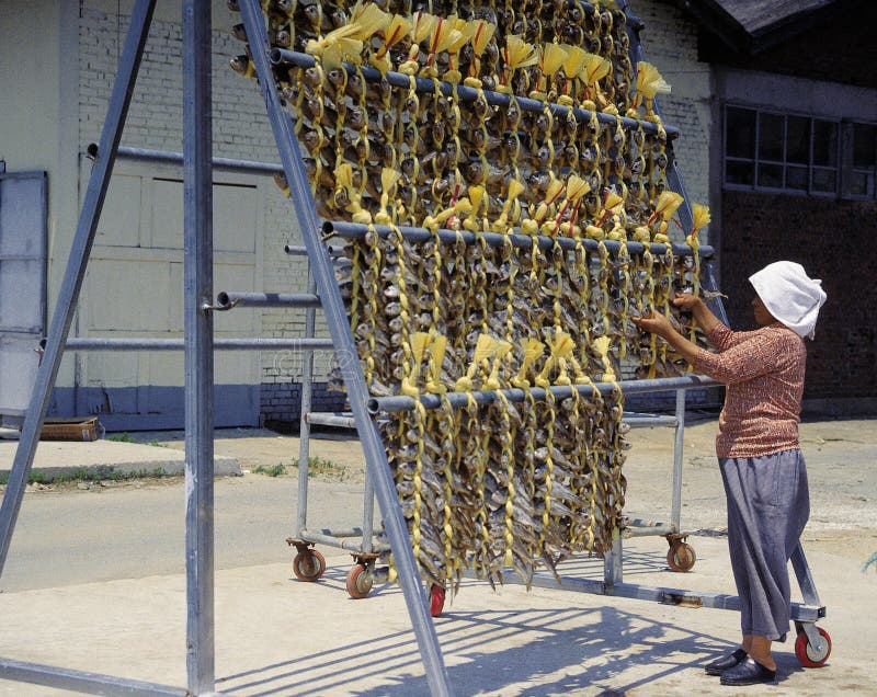 Dry fish korea editorial stock photo. Image of arid, fishing - 81625438