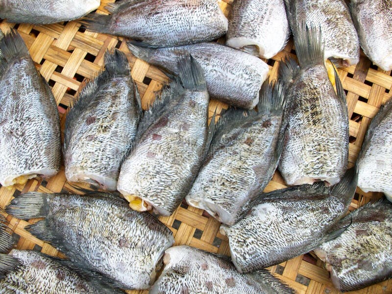 Dry fish stock image. Image of business, market, food - 38333219