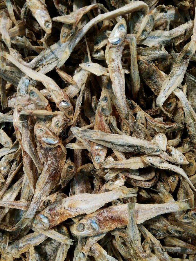 Dry fish stock image. Image of gourmet, exotic, food - 68790811