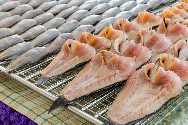 Dry fish out salty stock photo. Image of bask, heat, gourami - 44451656