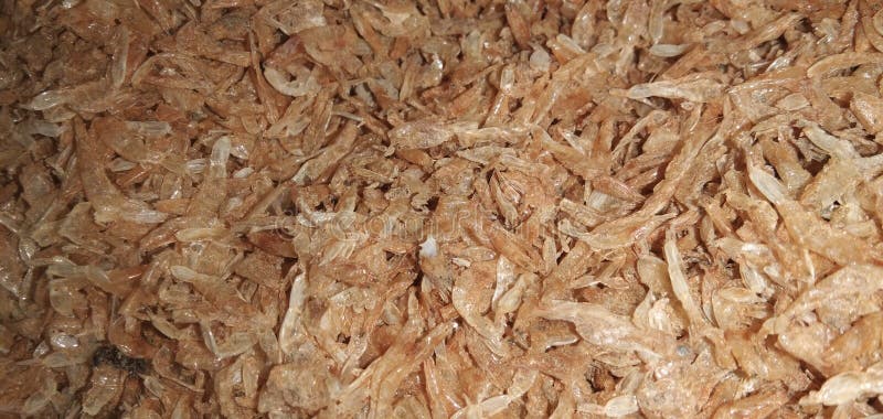 Dry fish prawn snack 4 stock photo. Image of wood, seafood - 217146180